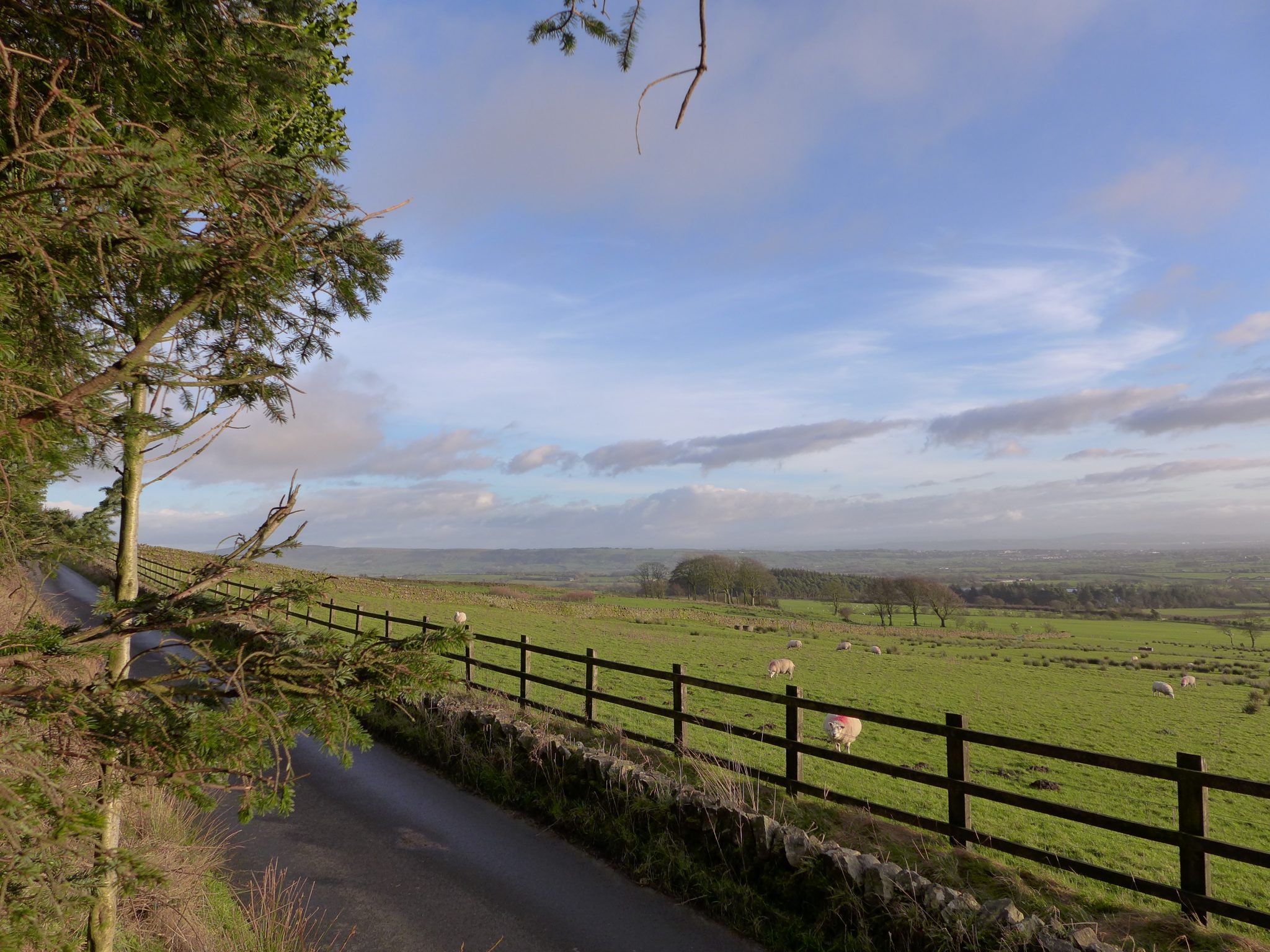 TEN top reasons to move to Goosnargh - Seddon Homes