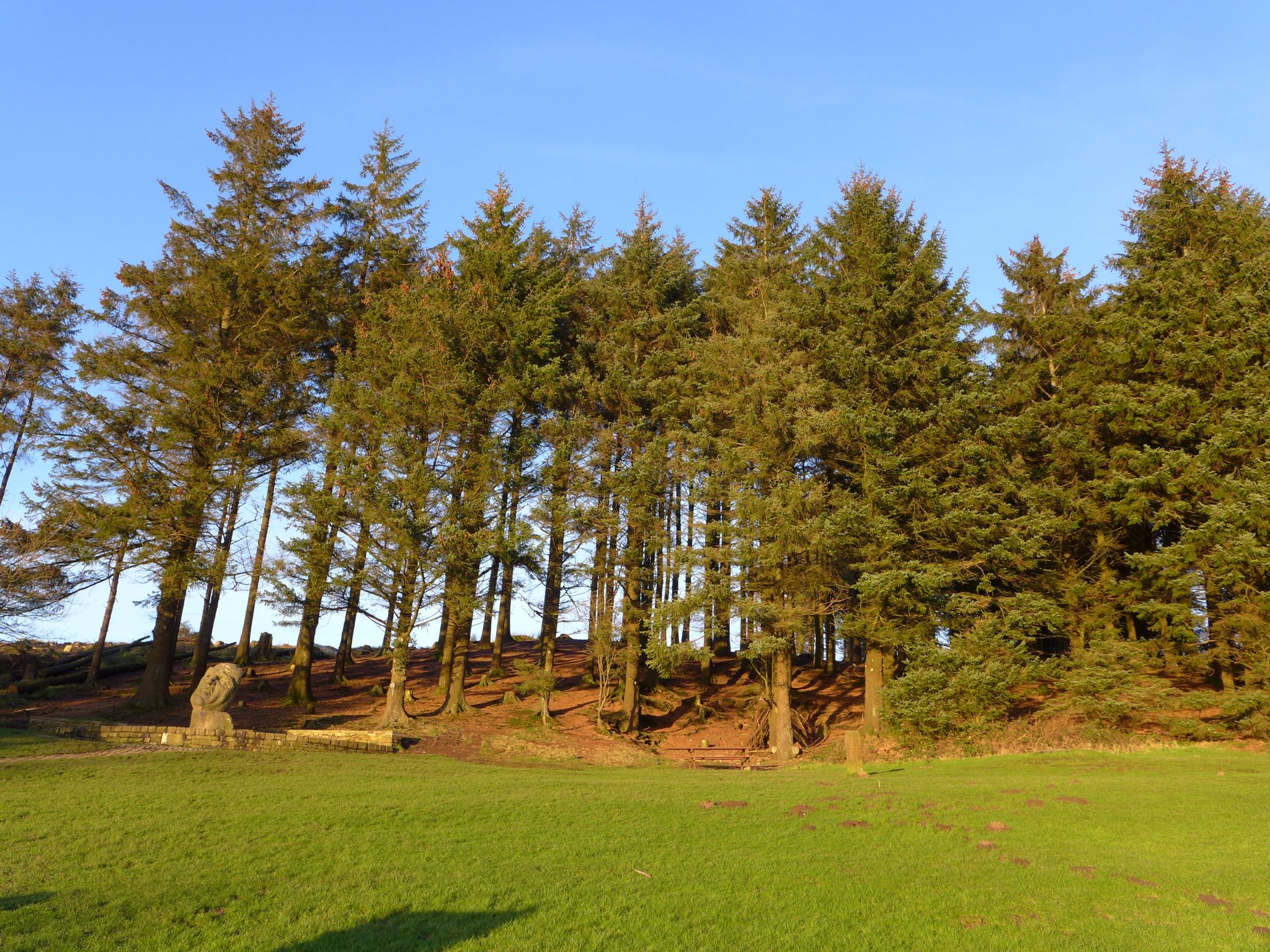 TEN top reasons to move to Goosnargh - Seddon Homes