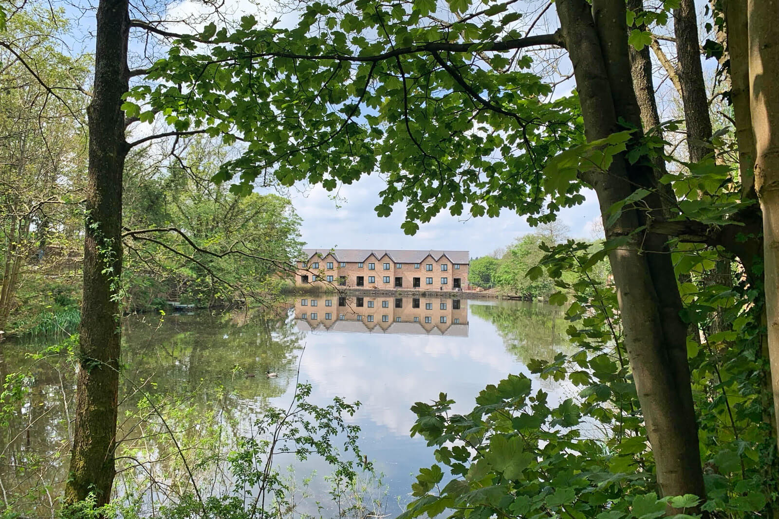 Lavender Fields - Denshaw - Plot 23 - Seddon Homes